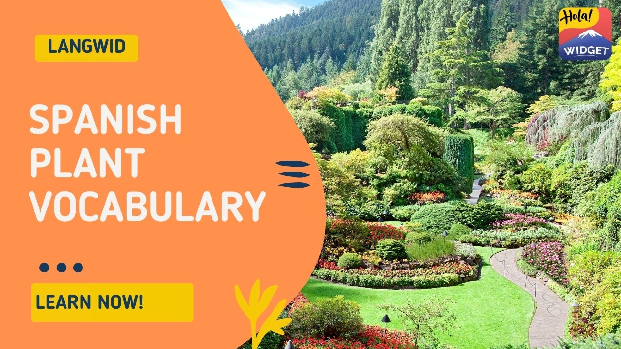 Spanish Plant Vocabulary - Langwid - Learn language widget Spanish Plant Vocabulary - Langwid - Learn language widget